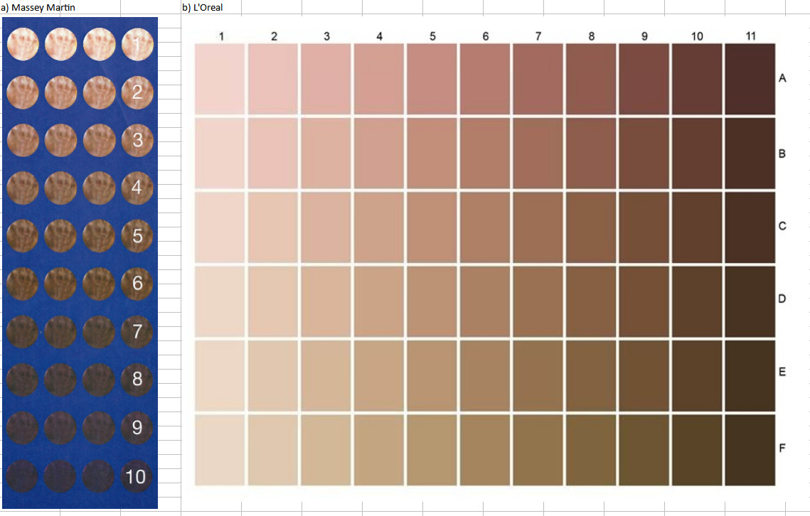 Best Practices for Measuring Skin Color in Surveys | Published in ...