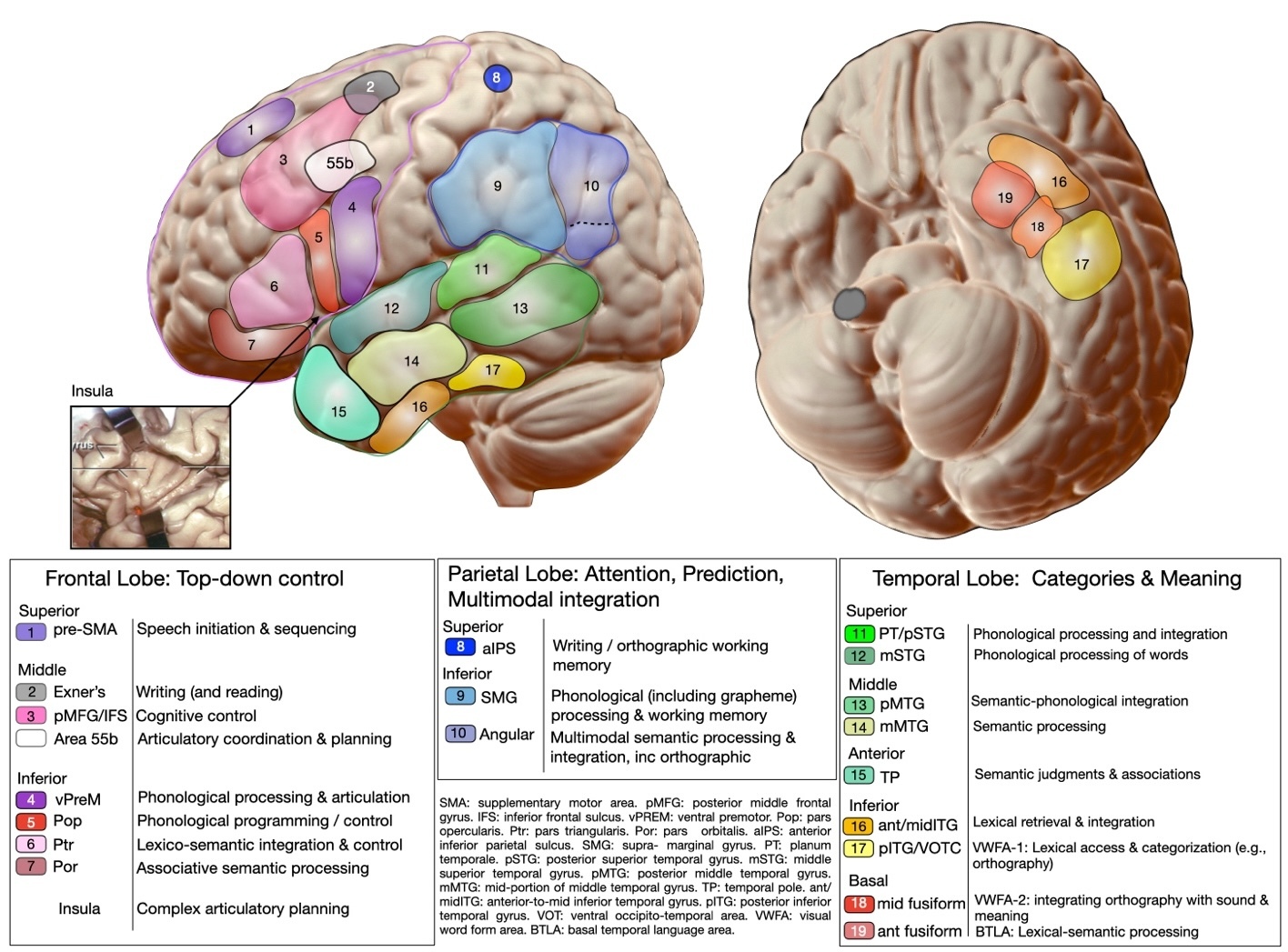 Consensus recommendations for clinical functional MRI applied to ...