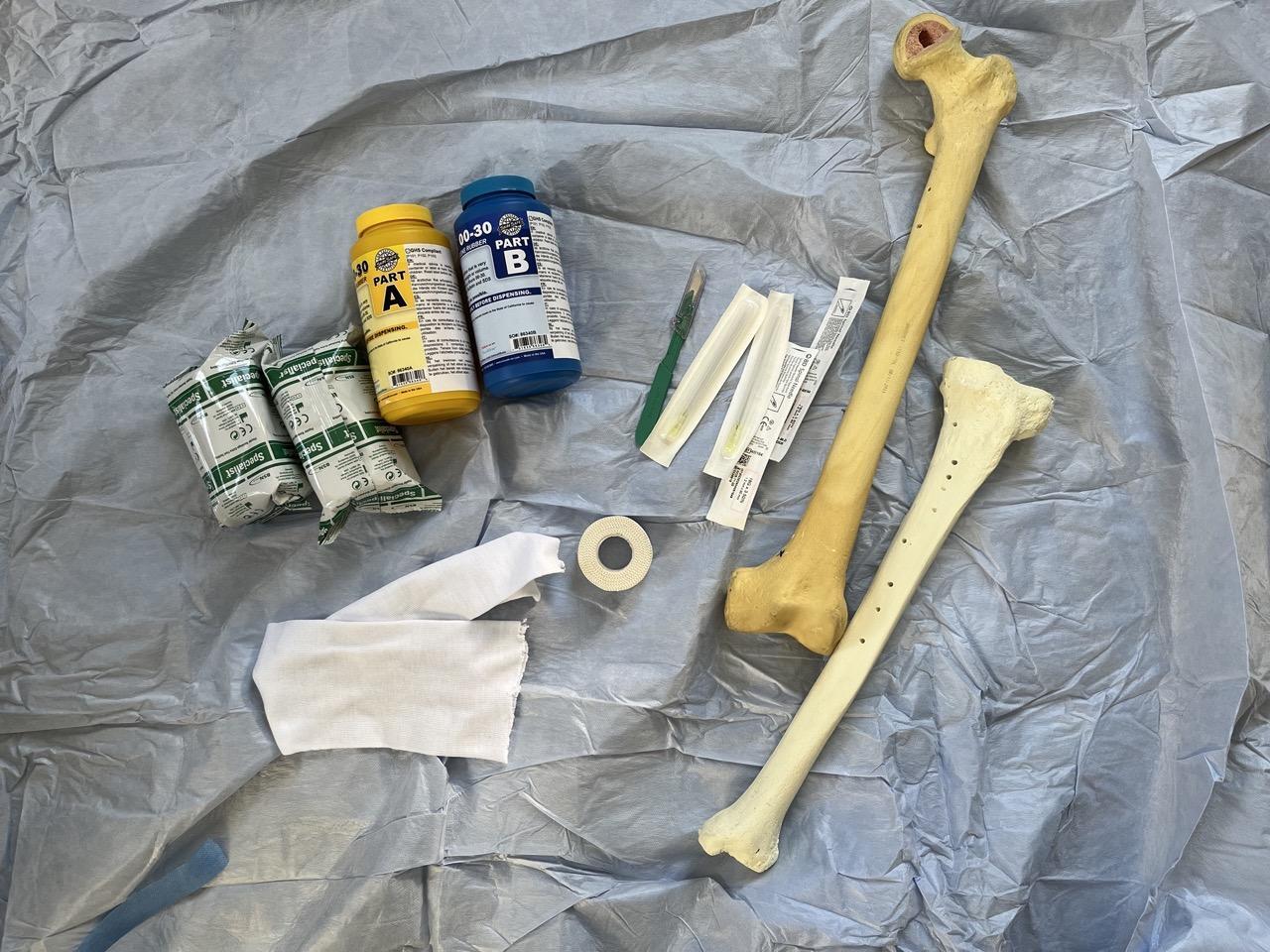 Use of a Simulation Model for Teaching the Application of Distal ...