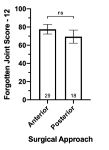Characterizing the Learning Curve for Anterior Total Hip Arthroplasties ...
