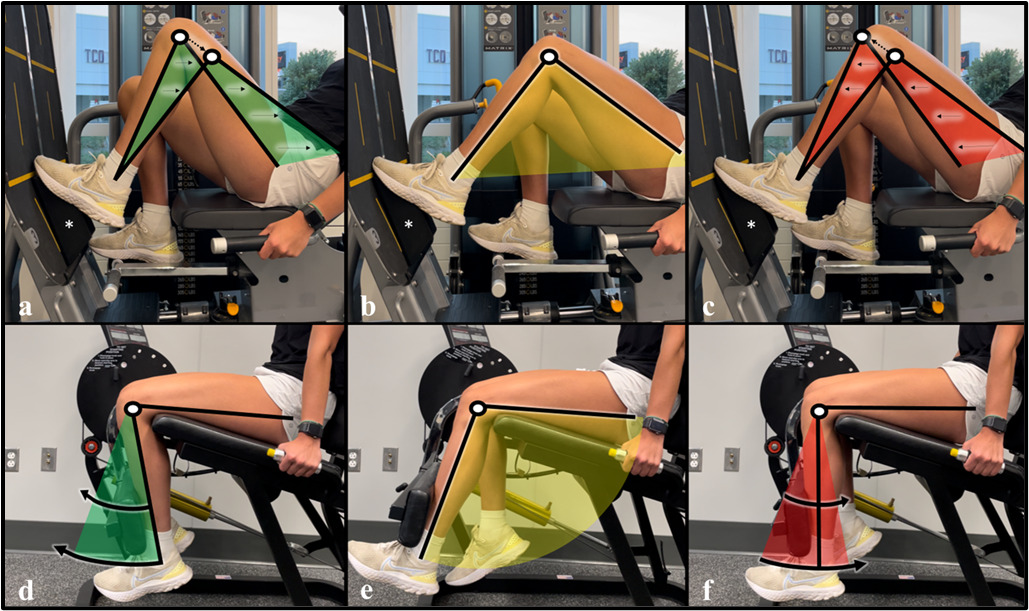 Oh, My Quad: A Clinical Commentary And Evidence-Based Framework for the ...