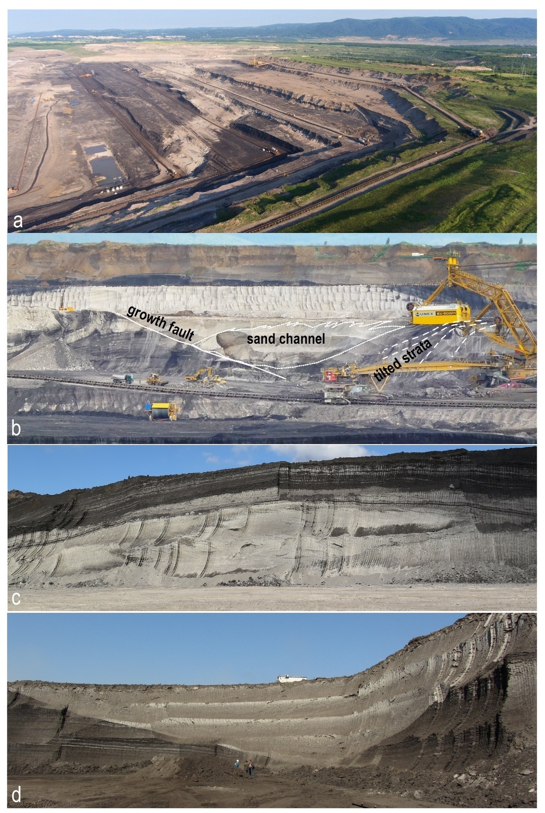 Synsedimentary Compaction of Peat Under the Load of Alluvial System ...
