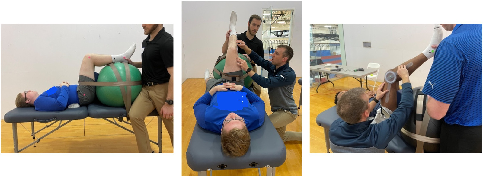 hamstrings muscle length test