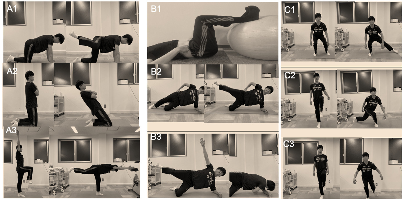 The Effectiveness of Trunk and Balance Warm-up Exercises in Prevention ...