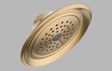 Delta - RP48686CZ - Delta: Single-Setting Shower Head-RP48686CZ ...