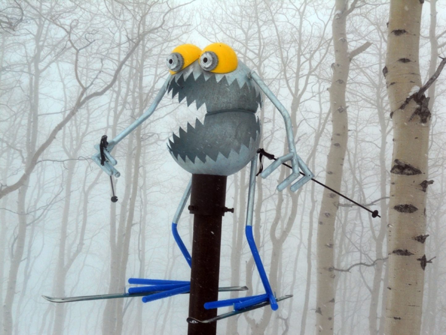 Snow Bugs | American Galvanizers Association