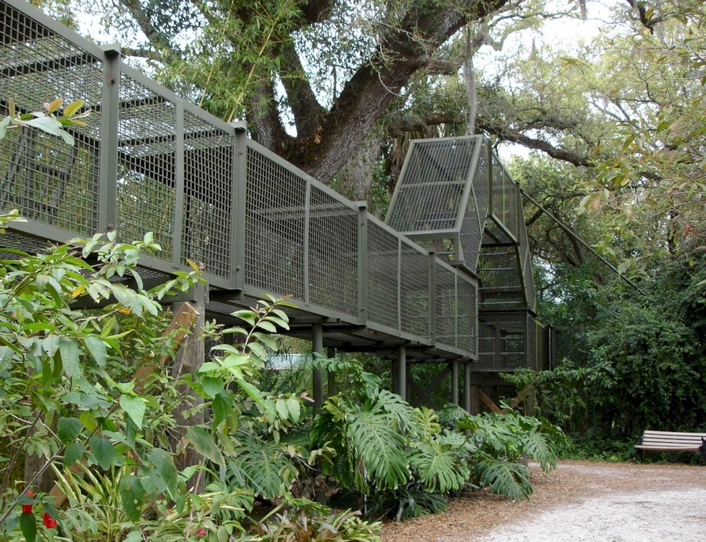 Center for Great Apes | American Galvanizers Association