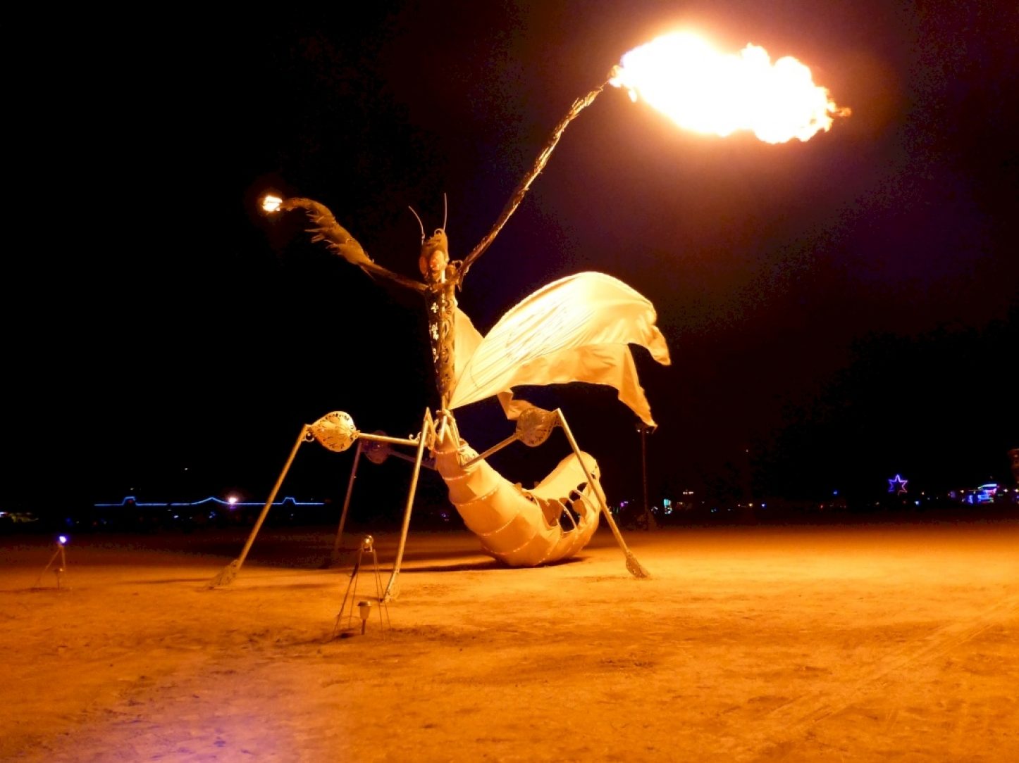 Praying Mantis Sculpture for The… | American Galvanizers Association