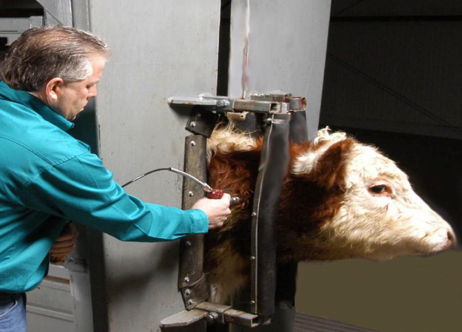 The Silencer | American Galvanizers Association