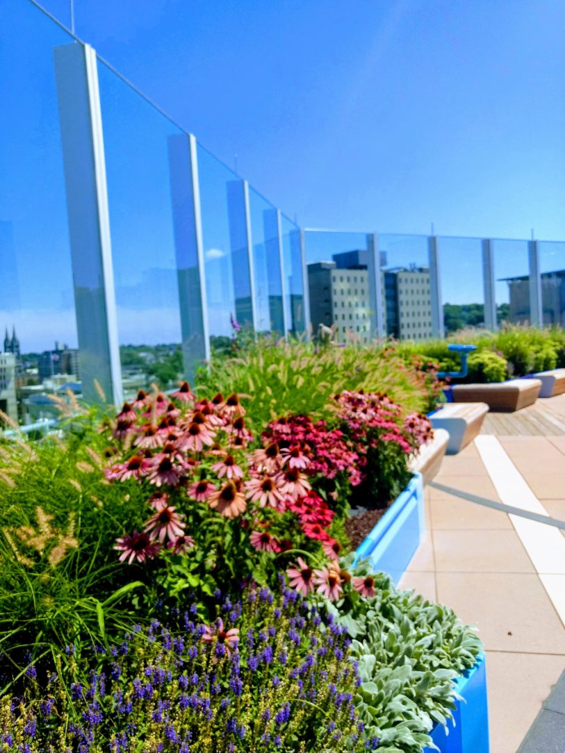 Boston Children's Hospital Rooftop… | American Galvanizers Association