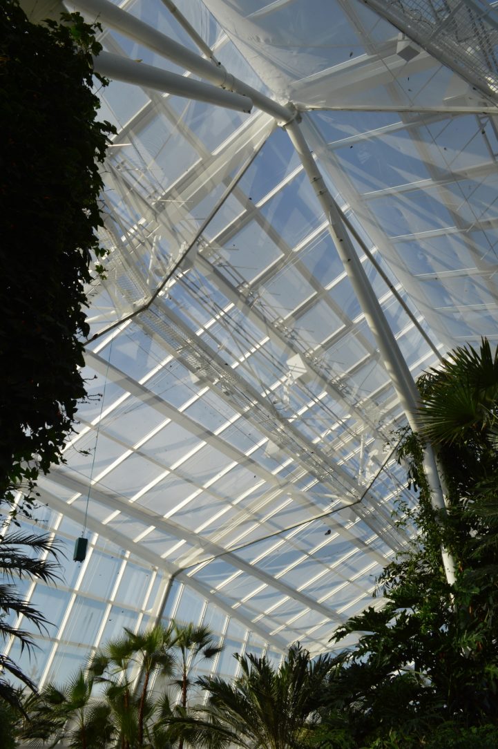 Butterfly Conservatory | American Galvanizers Association