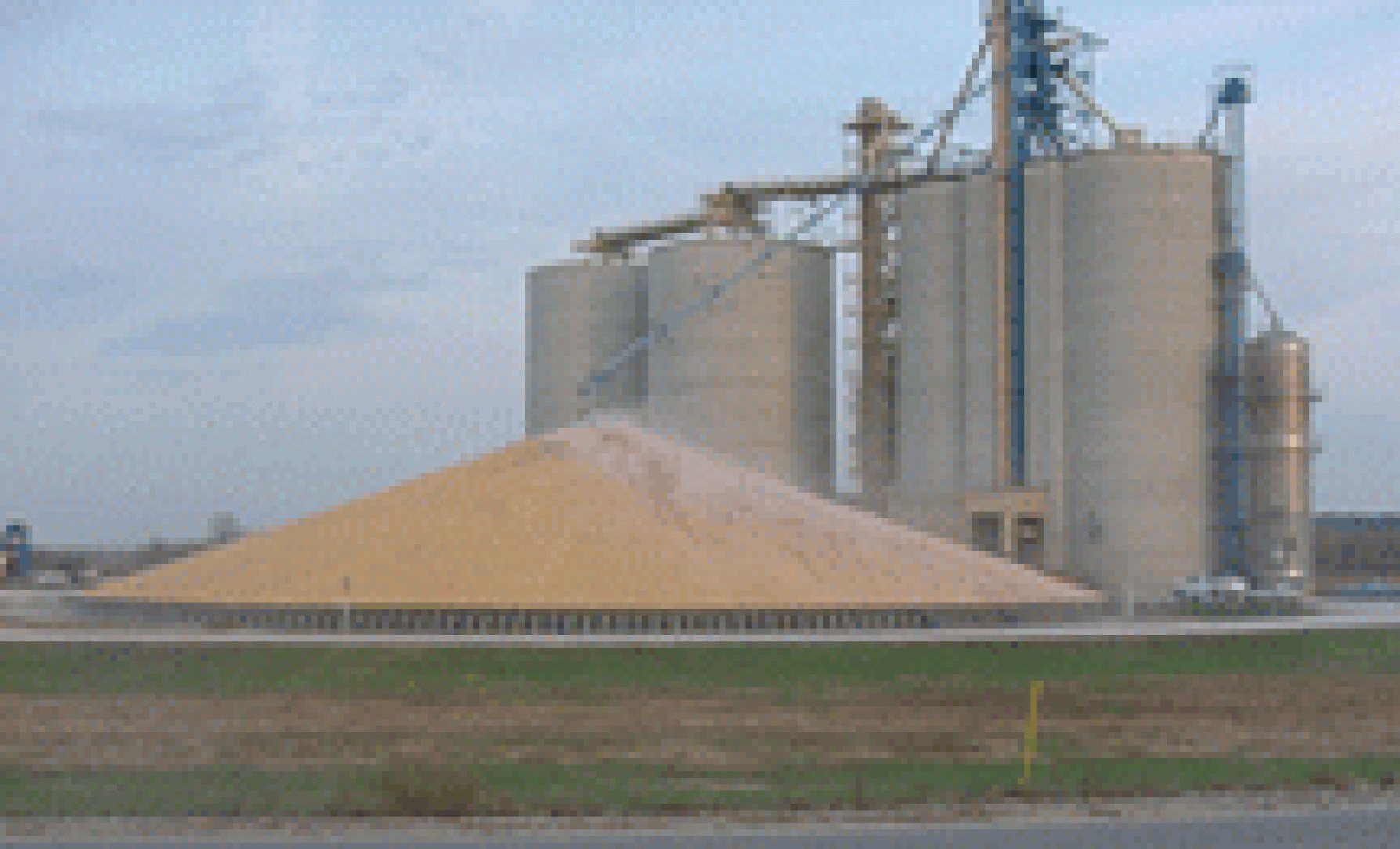 Temporary Grain Storage | American Galvanizers Association