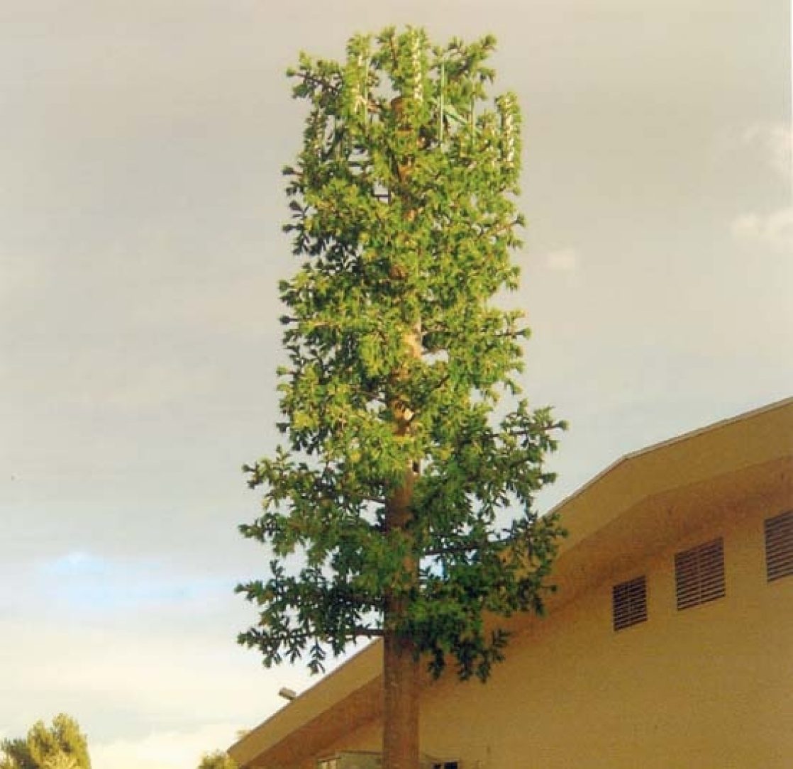 Cell Towers - Tree Application | American Galvanizers Association
