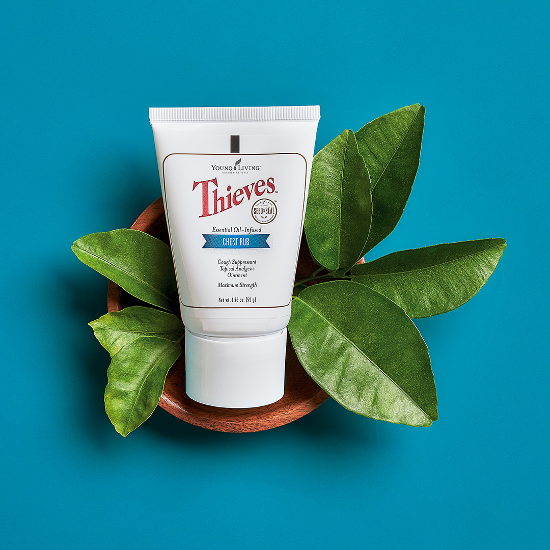 November Essentials | YLEO