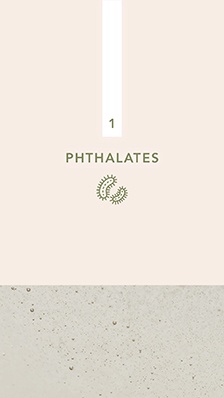 KITCHEN CLEAN UP-WHY WE NORWEX our KITCHENS