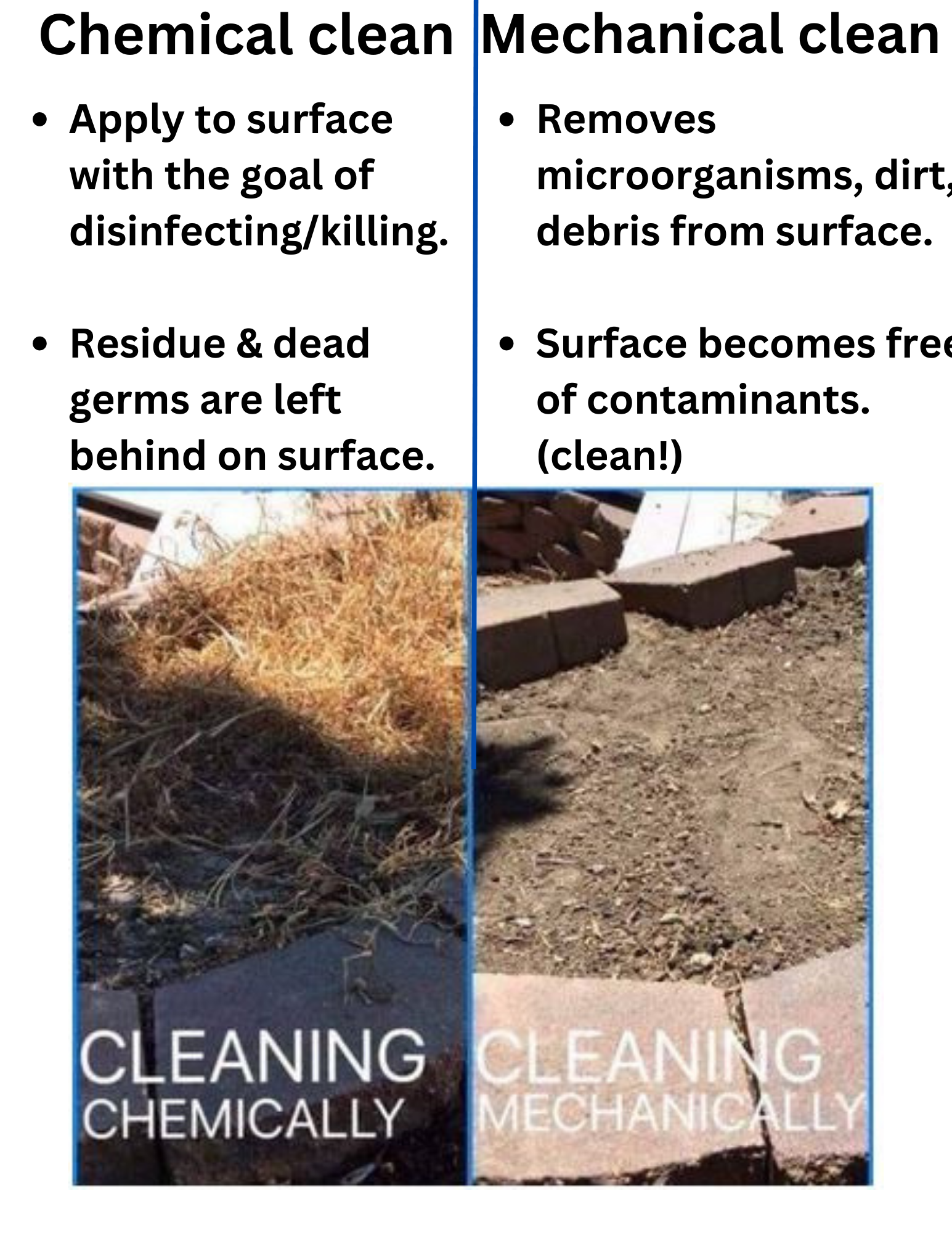 Chemicals to avoid in your Home