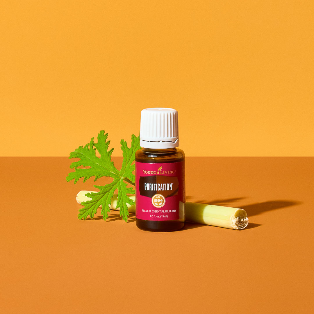 June Essentials | YLEO