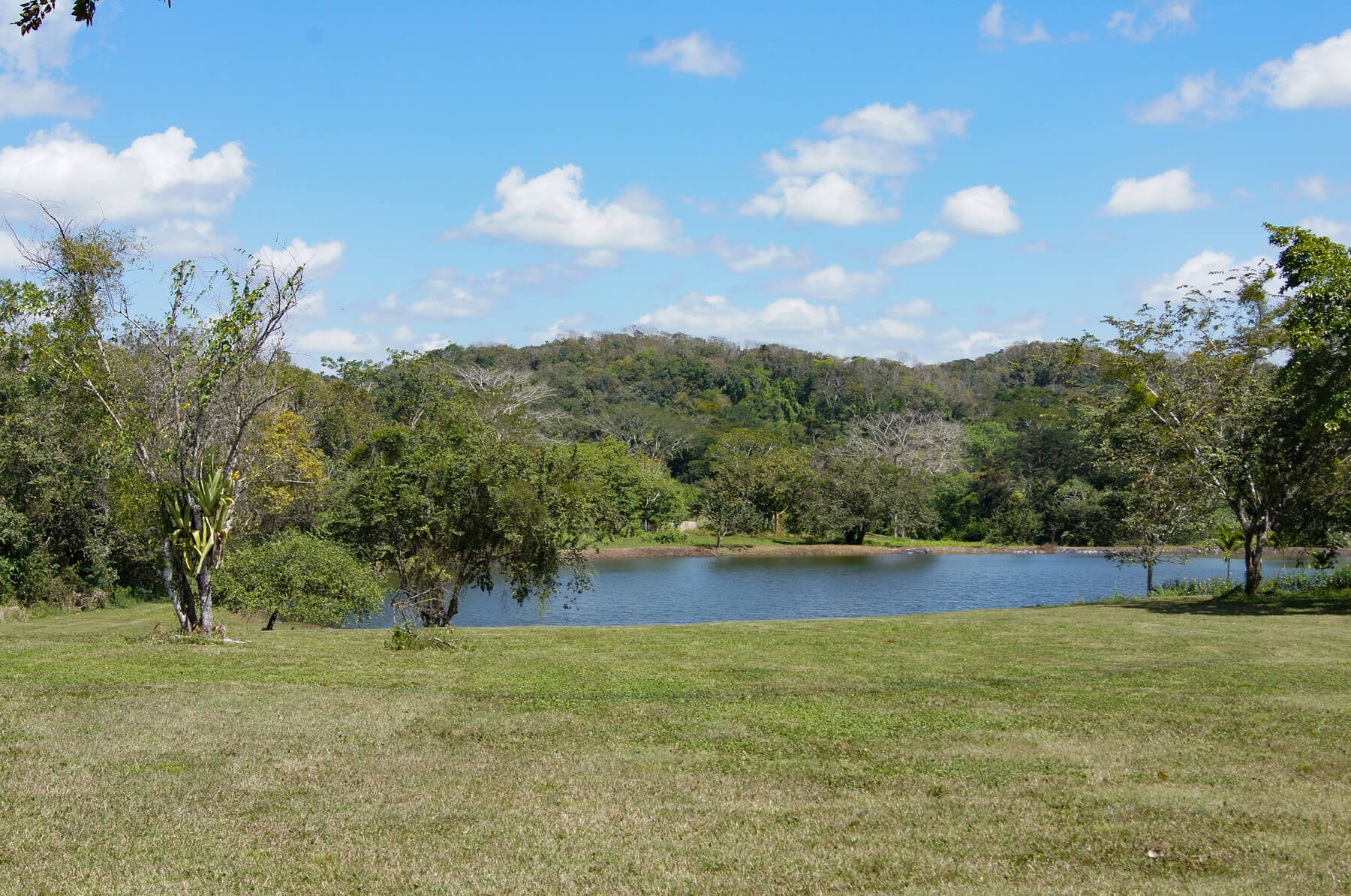 Land for Sale in Belize • Large Acreages, Lots, Seafront & Riverfront Land