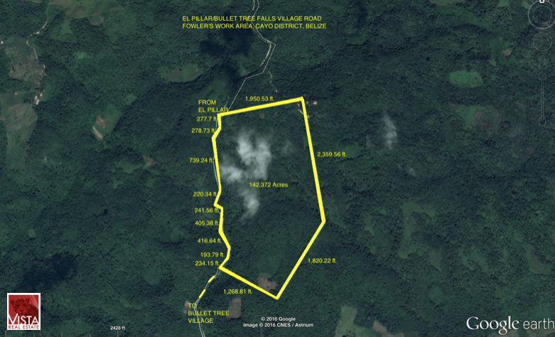 Bullet Tree Falls Real Estate • Vista Real Estate