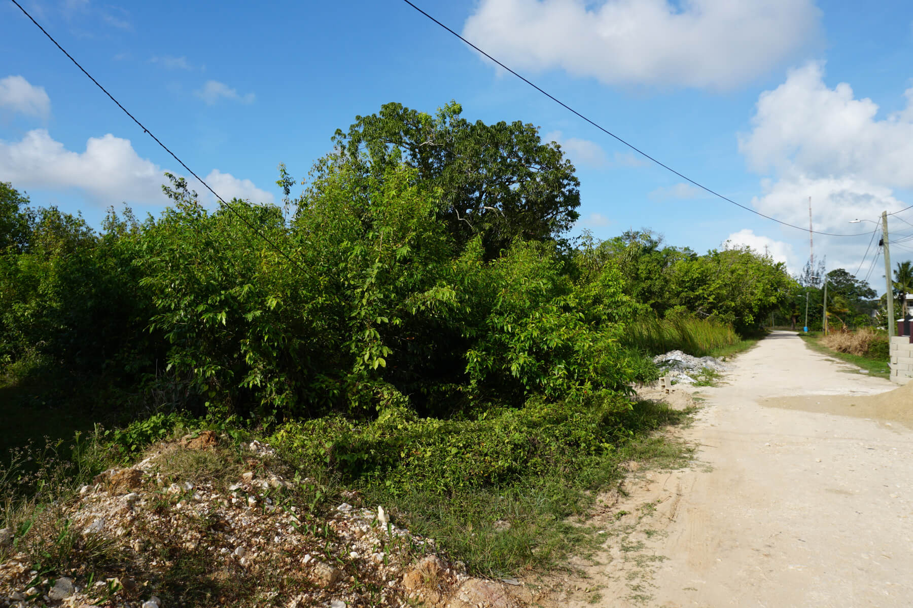 Two Adjacent Lots on the Old Northern Road in Lake Gardens, Ladyville ...