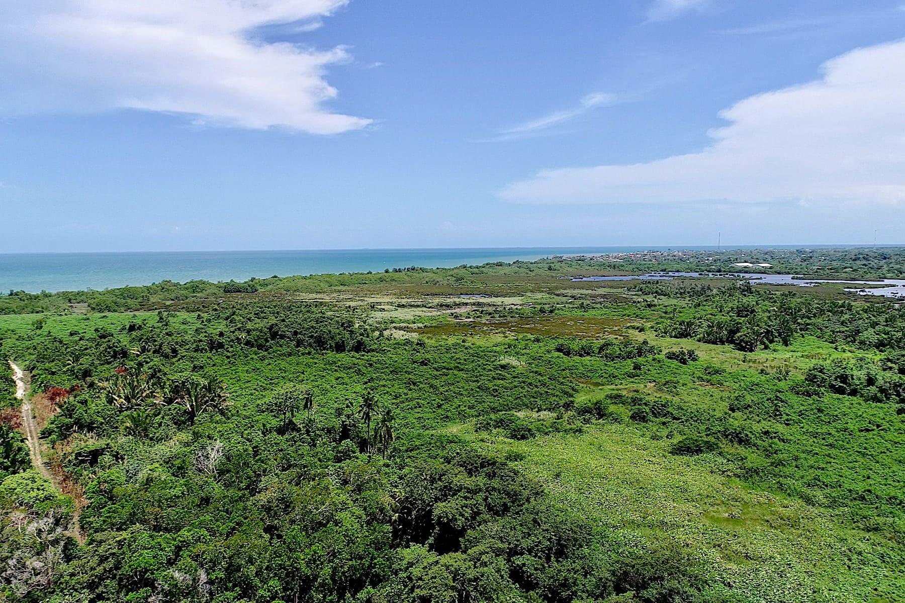 320 Acres with Sea Frontage North of Dangriga Town • Vista Real Estate