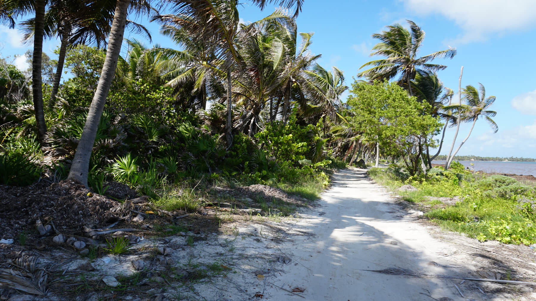 Land for Sale in Belize • Large Acreages, Lots, Seafront & Riverfront Land