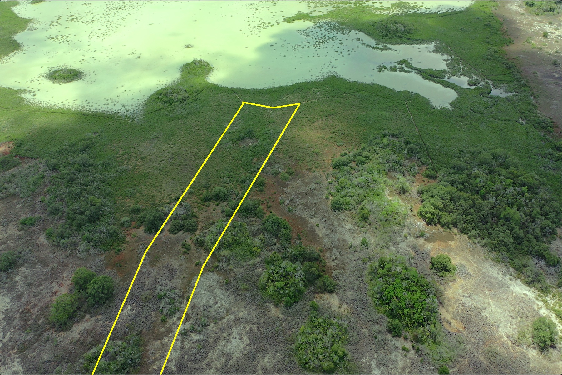 Prime Property in Corozal District- 20.17 Acres off the Warree Bight ...