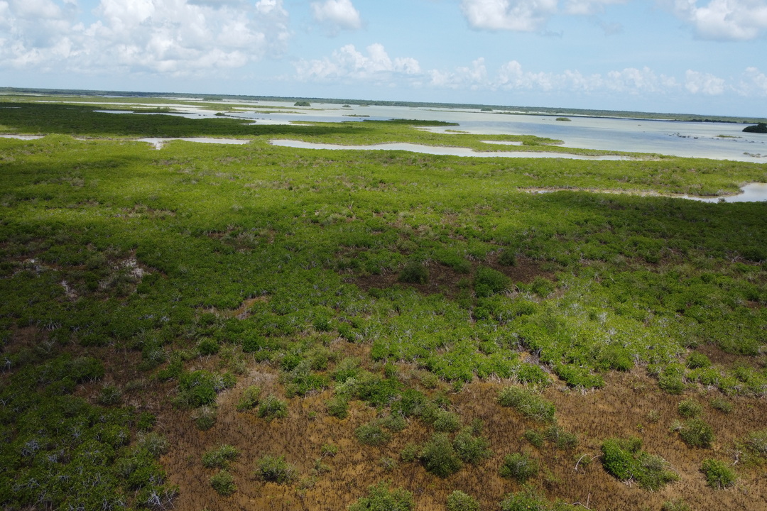 Shipstern Nature Reserve Real Estate • Vista Real Estate