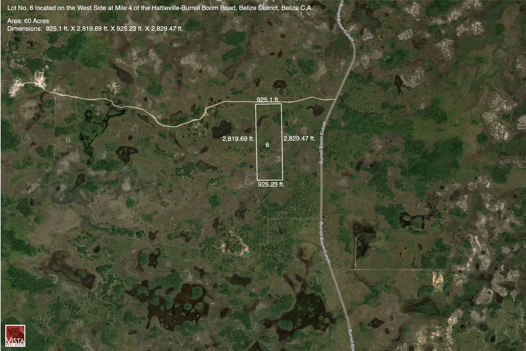 60 Acres Property on Burrell Boom-Hattieville Road • Vista Real Estate