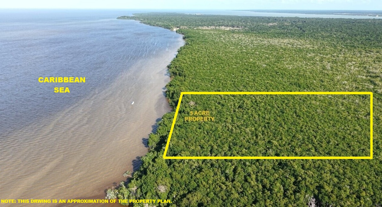 Stunning 5-Acre Seafront Estate: Your Private Coastal Paradise • Vista ...