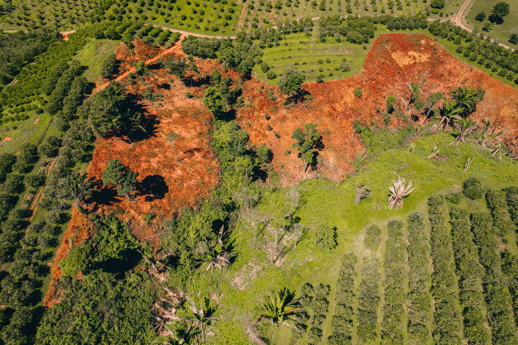 Itzamná Hills, Luxury Hummingbird Highway View Lot 6- Sleeping Giant ...