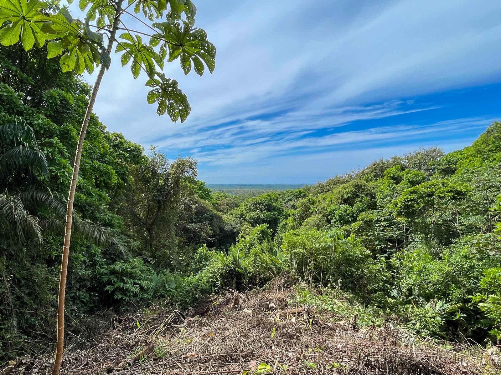 Waterfall Ocean View Gated Community | 1.33 Acre Lot Of Las Palmas ...