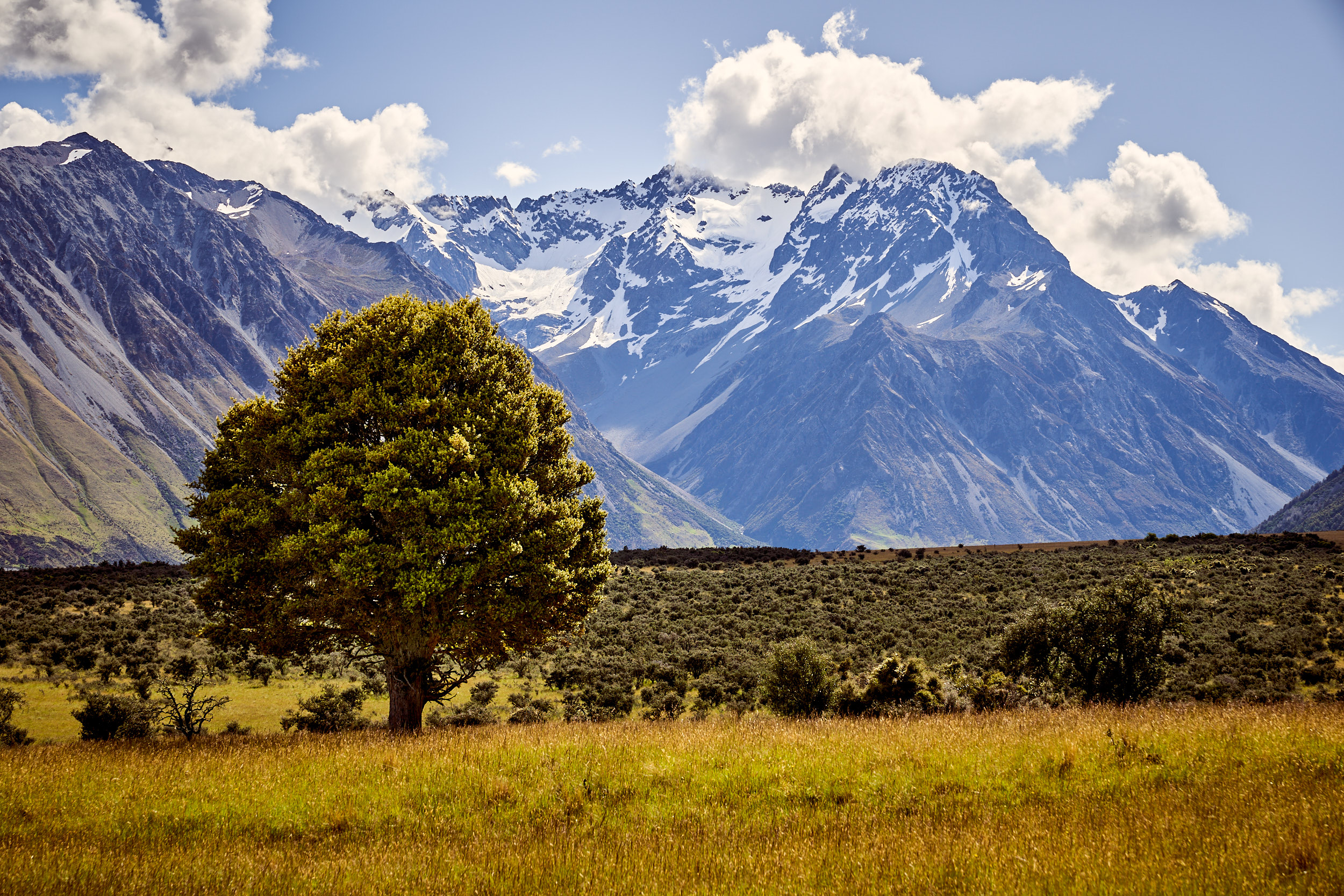 Manuka Point Station: Luxury Home for Sale in Methven, Canterbury, New ...