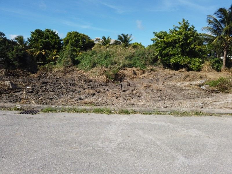 Estate Agents in Barbados | Ron Karp Realty