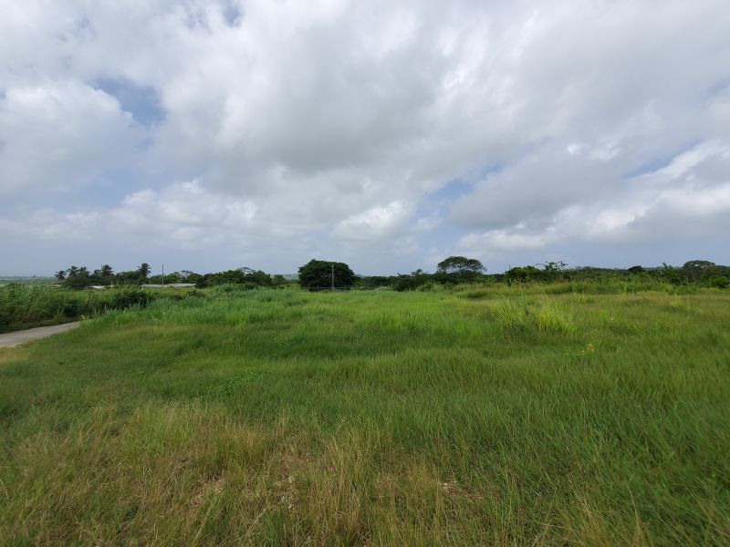 Estate Agents in Barbados | Ron Karp Realty