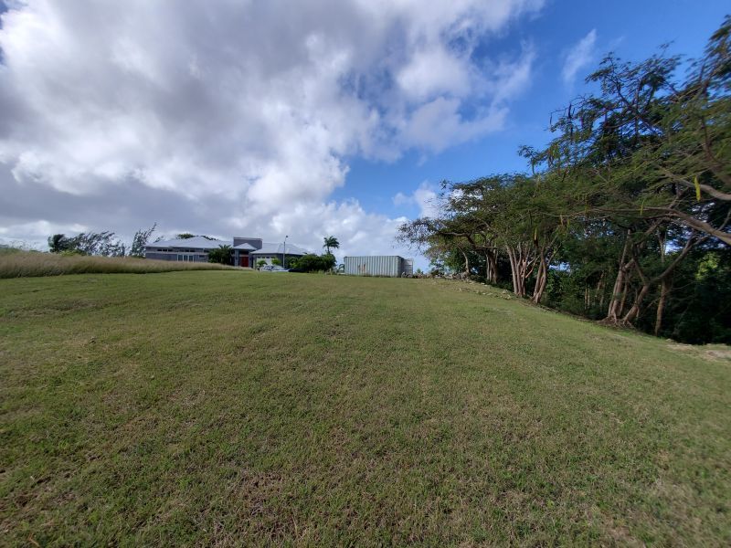 Estate Agents in Barbados | Ron Karp Realty