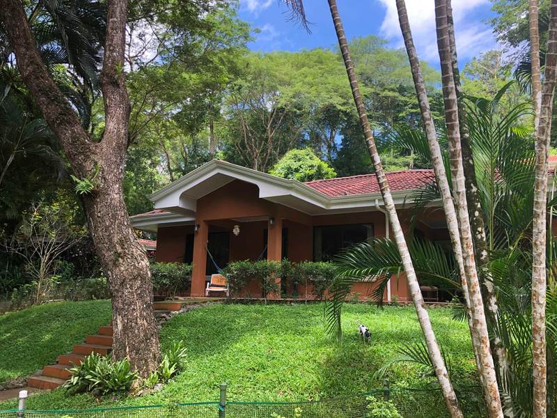 Id. 10526 - Tropical Rainforest House just Remodeled & Beautiful ...