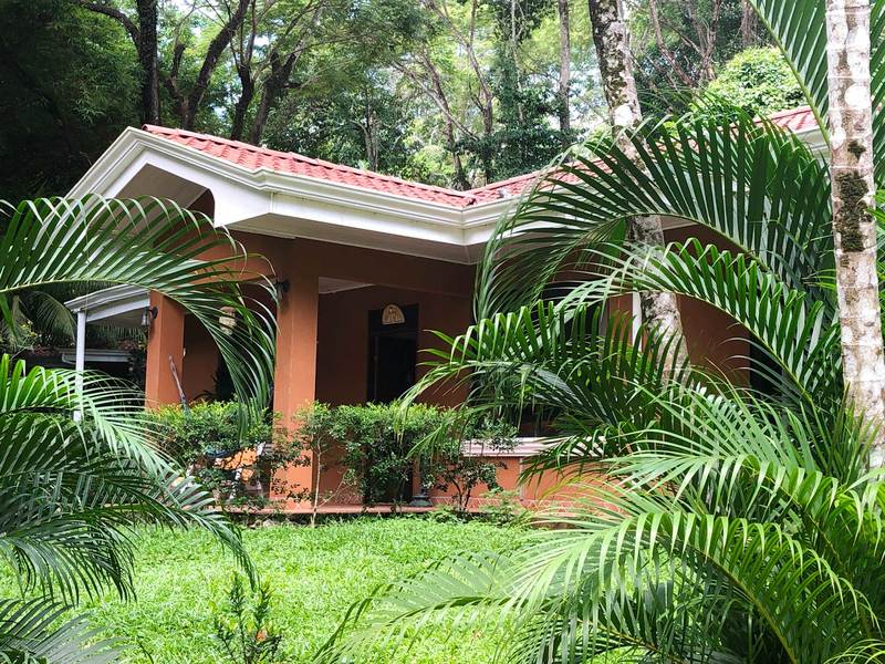Id. 10526 - Tropical Rainforest House just Remodeled & Beautiful ...
