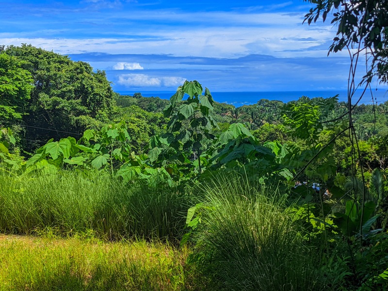 Land For Sale in Costa Rica | Coldwell Banker Tamarindo Realty