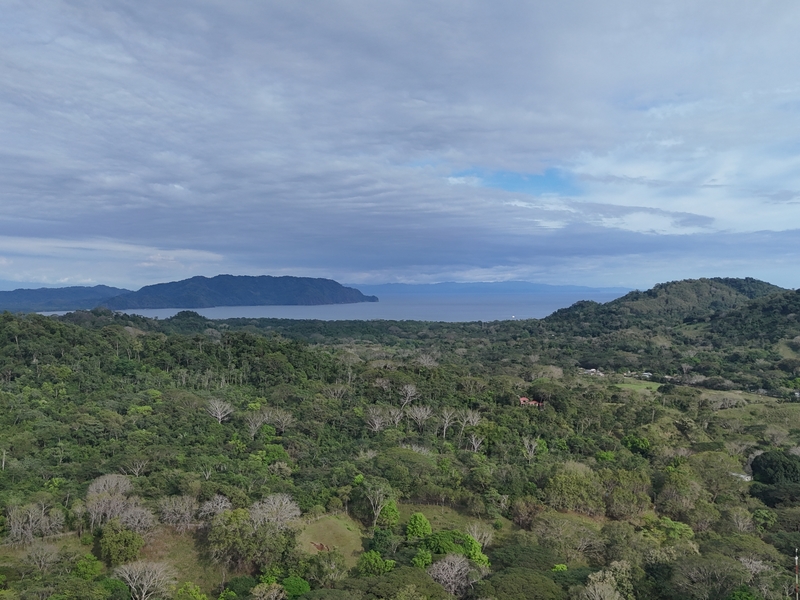 Tambor Costa Rica Real Estate - Real Estate in Tambor Costa Rica