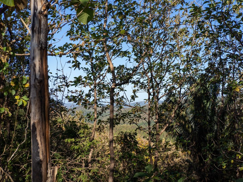 Land For Sale in Playa Carrillo | Costa Rica