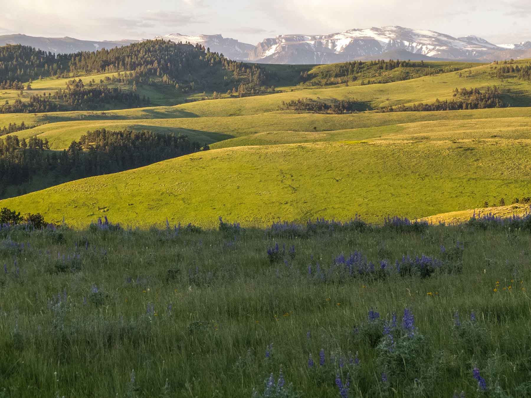 Sheep Creek Ranch - Sold - Montana - Hall and Hall