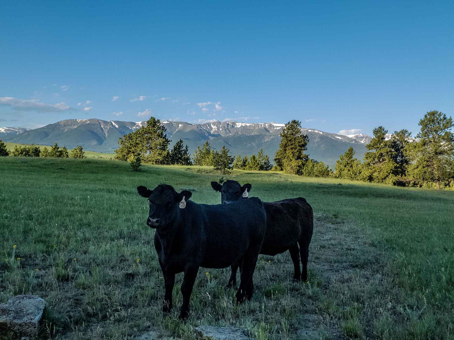 Sheep Creek Ranch - Sold - Montana - Hall and Hall