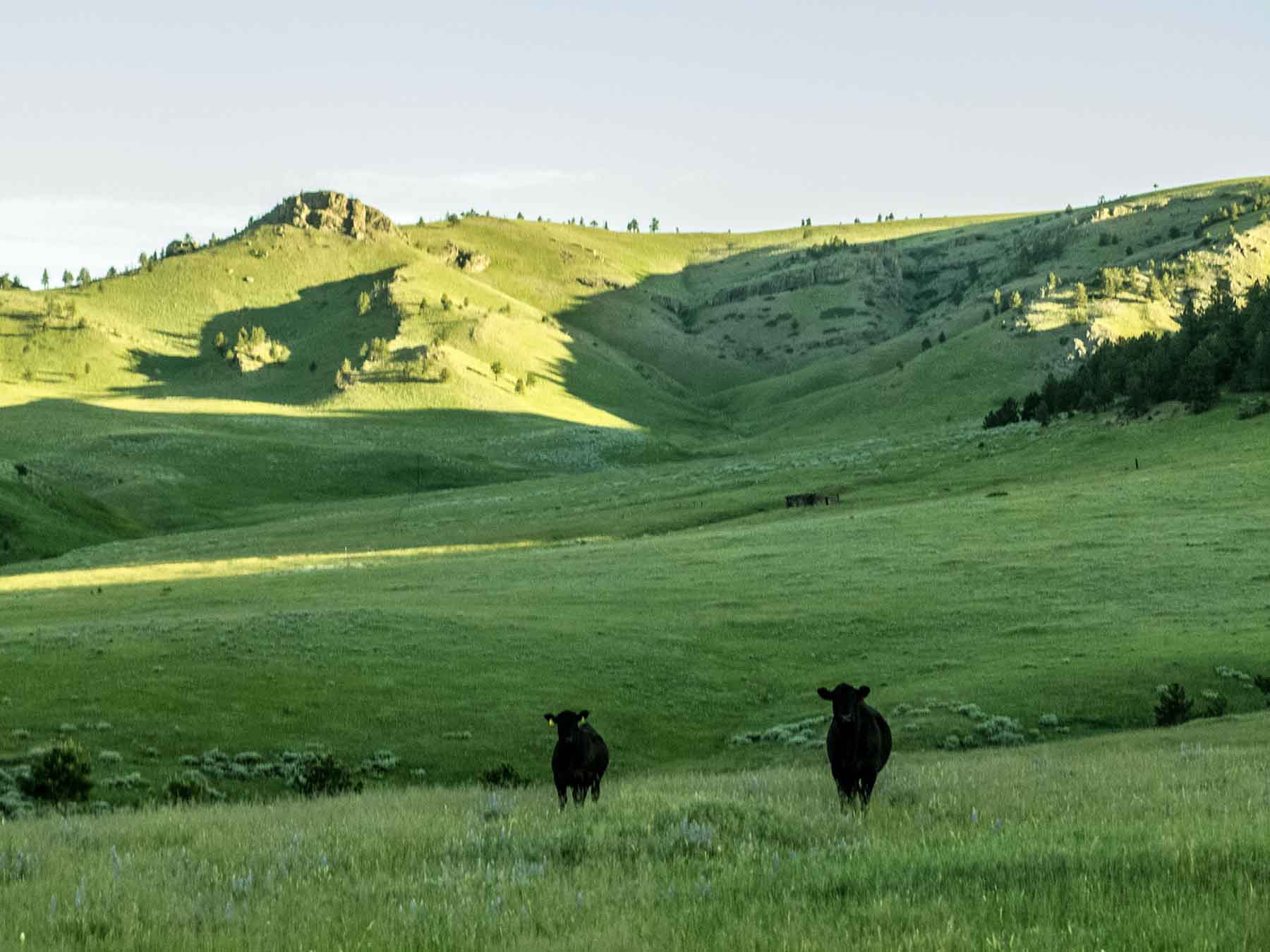 Sheep Creek Ranch - Sold - Montana - Hall and Hall