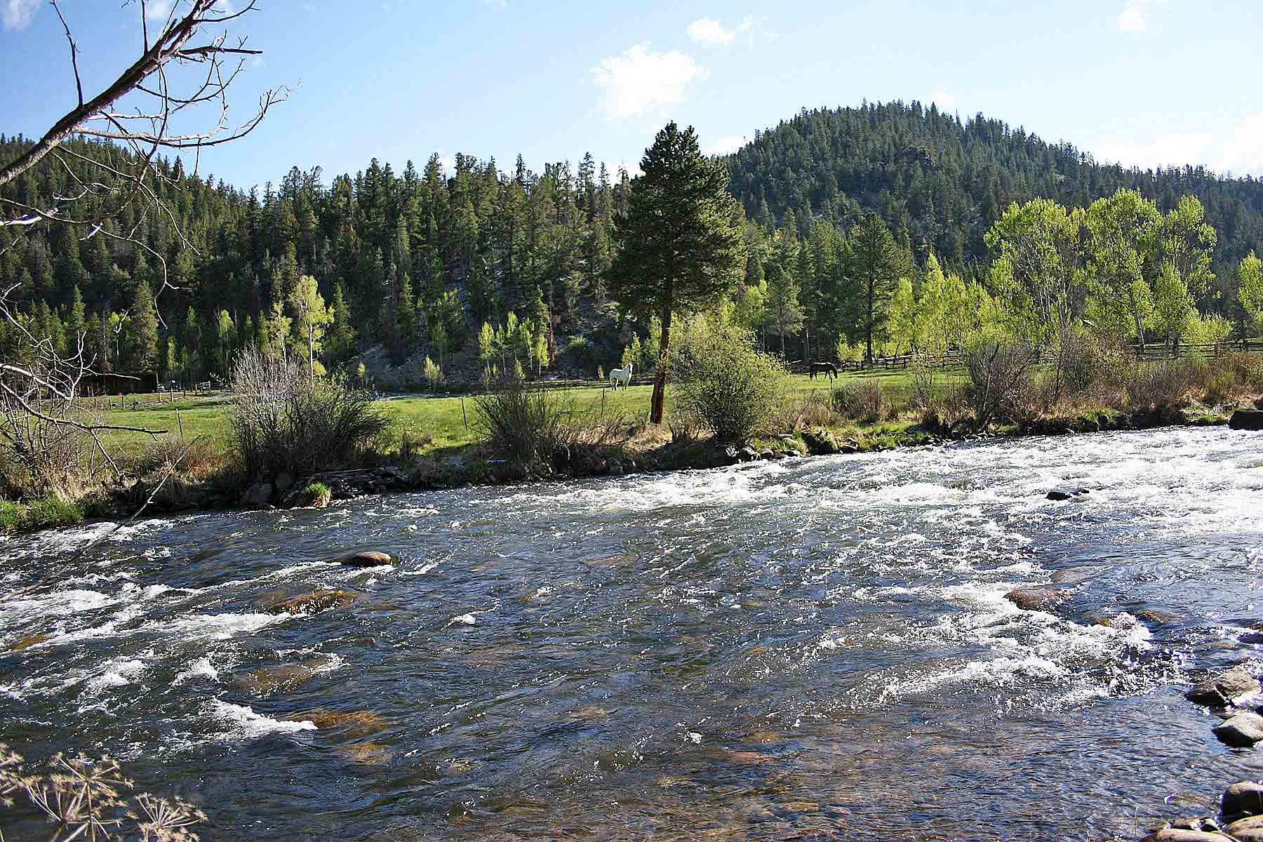 Wildflower at Crystal Creek - Sold - Colorado - Hall and Hall