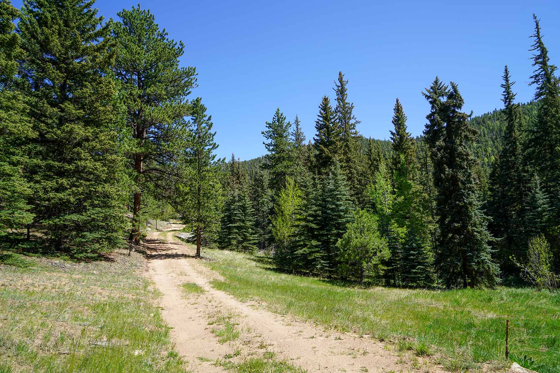 Elk Meadow Ranch - Sold - Colorado - Hall and Hall