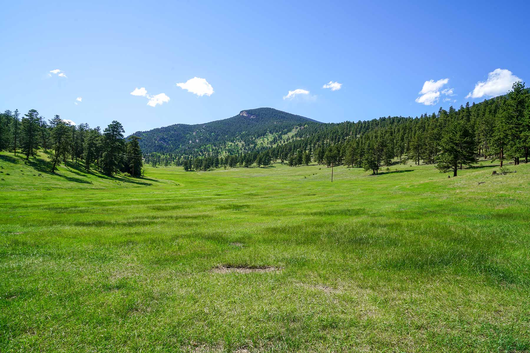 Elk Meadow Ranch - Sold - Colorado - Hall and Hall