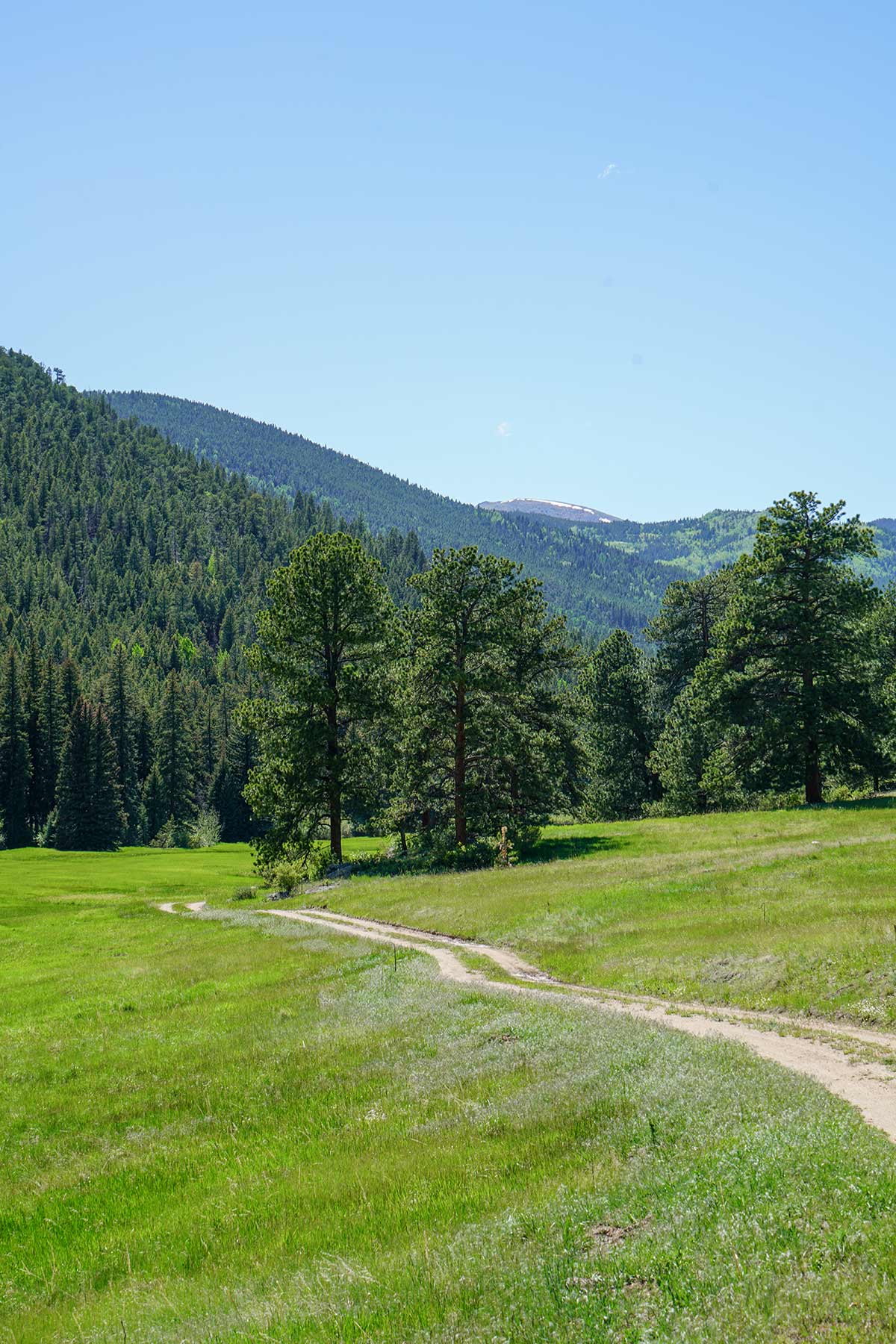 Elk Meadow Ranch - Sold - Colorado - Hall and Hall