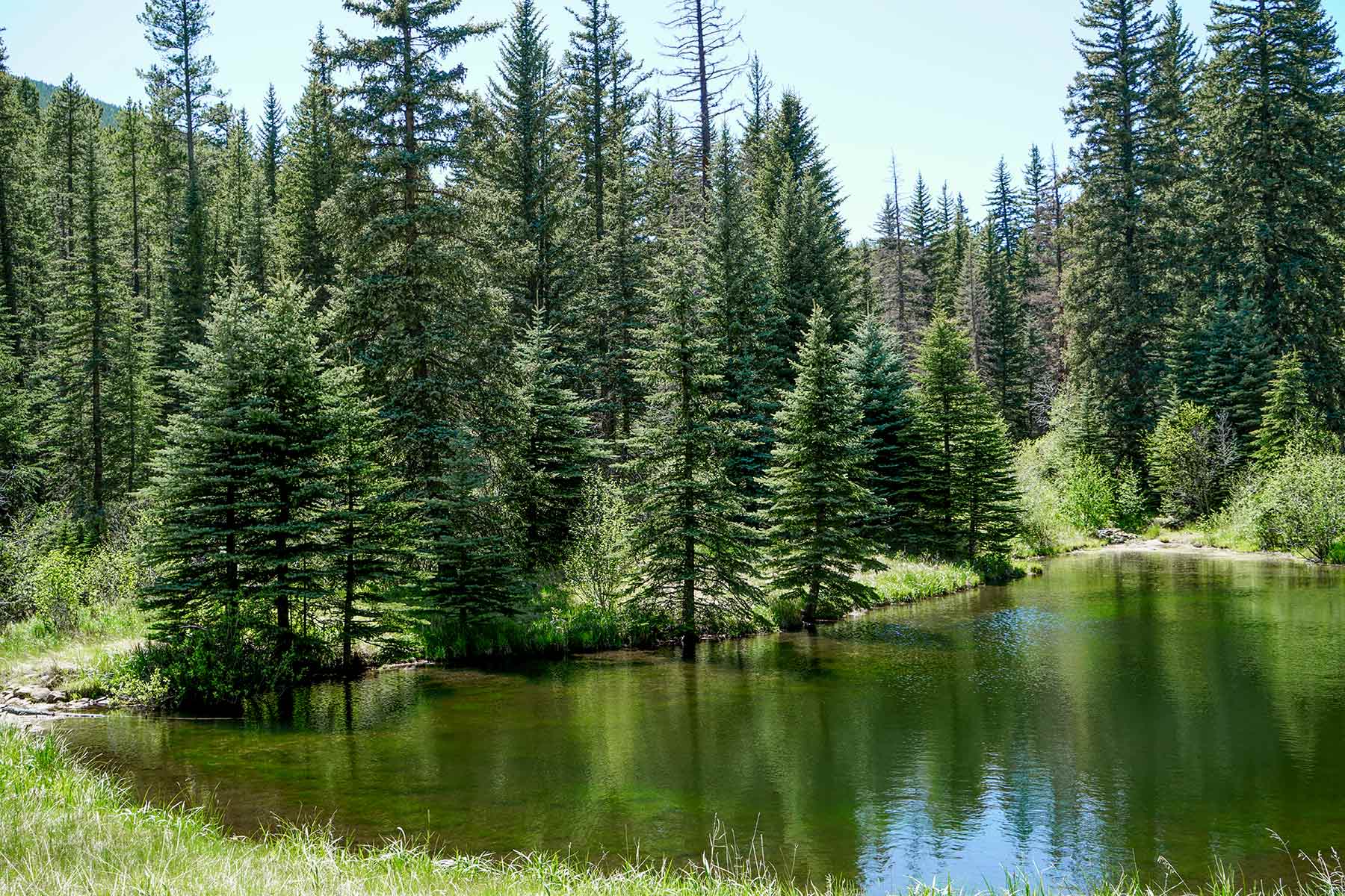 Elk Meadow Ranch - Sold - Colorado - Hall and Hall