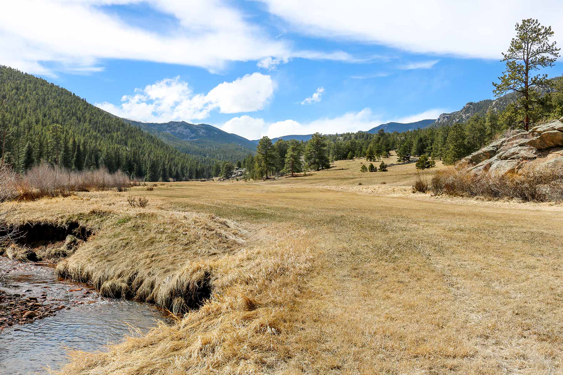 Elk Meadow Ranch - Sold - Colorado - Hall and Hall